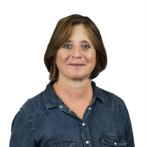 Teams - Chinski Psychologie